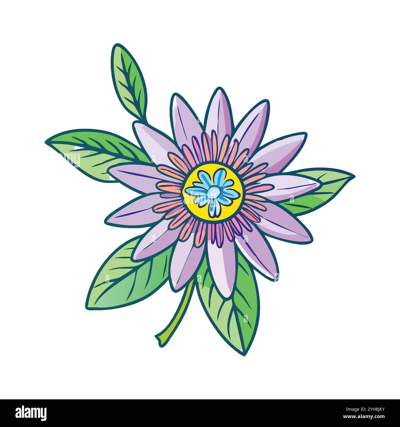 vector illustration of a passion flower flower, for floral designs ...