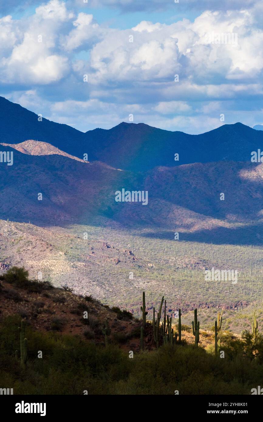 A rainbow arching over saguaro cactus and a desert valley in the ...