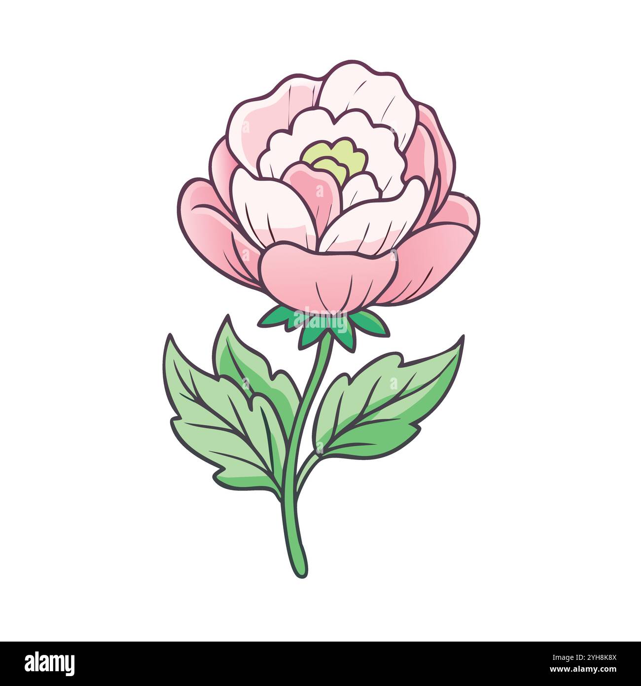 vector illustration of a peony flower, for floral designs, botanical ...