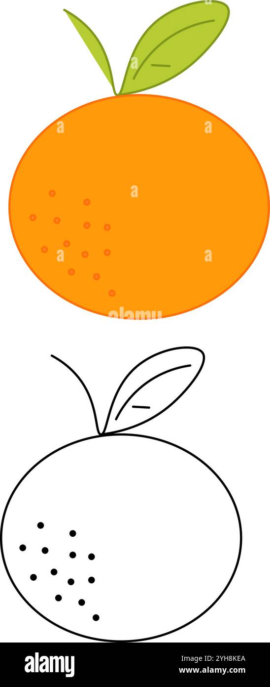 Mandarin logo. Isolated vector cartoon mandarin on white background ...