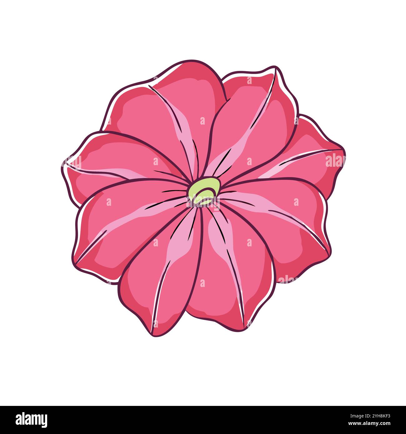 vector illustration of a petunia flower , for floral designs, botanical ...