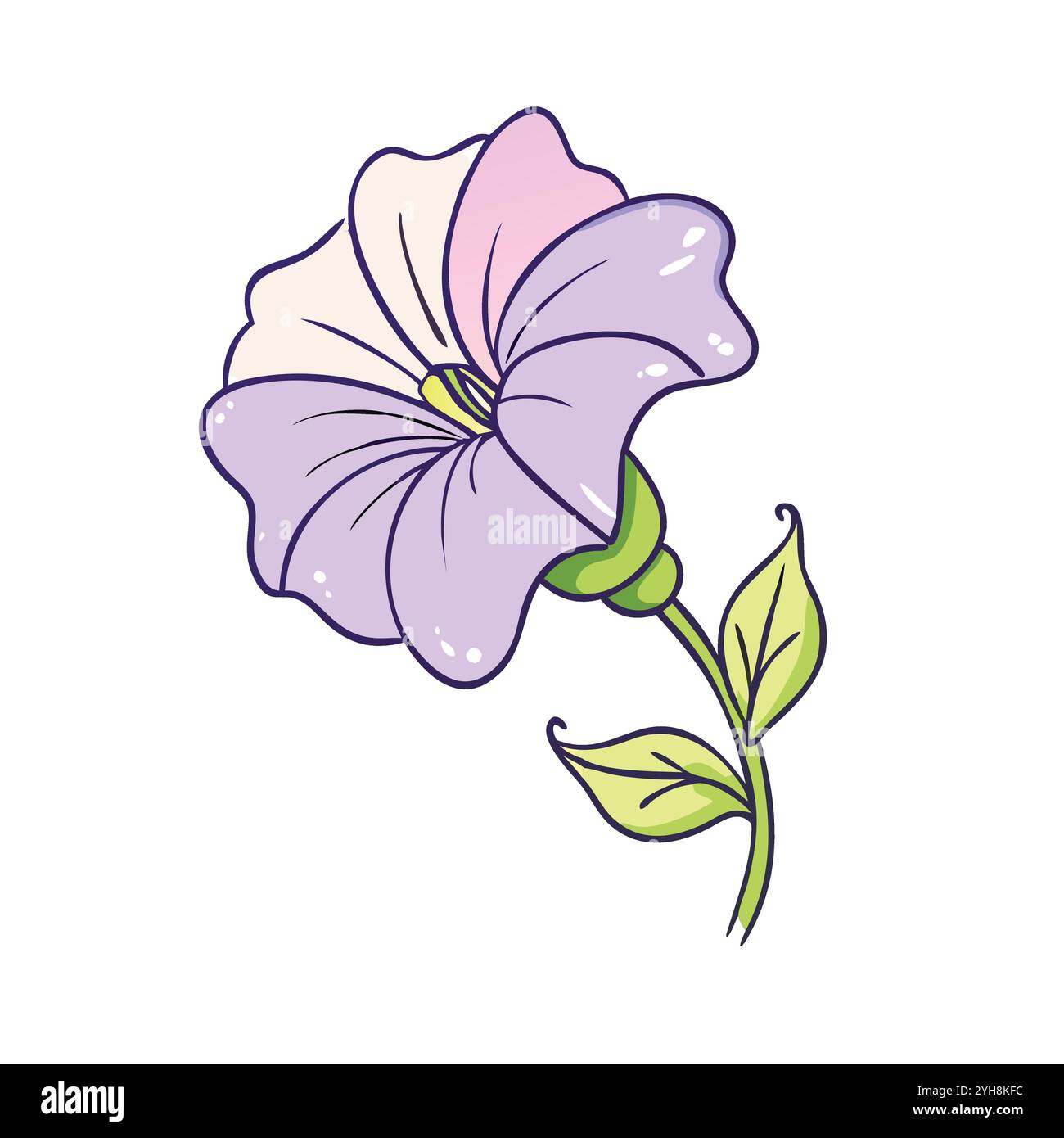 vector illustration of a petunia flower , for floral designs, botanical ...