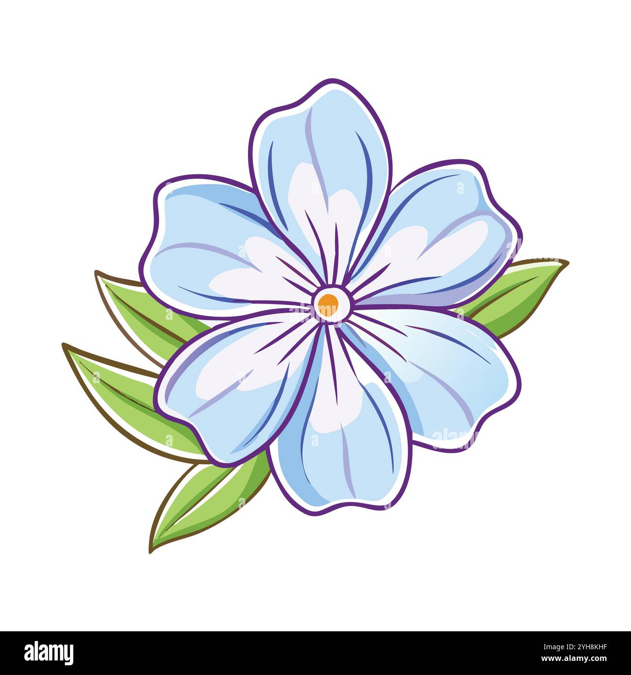 vector illustration of a phlox flower, for floral designs, botanical ...