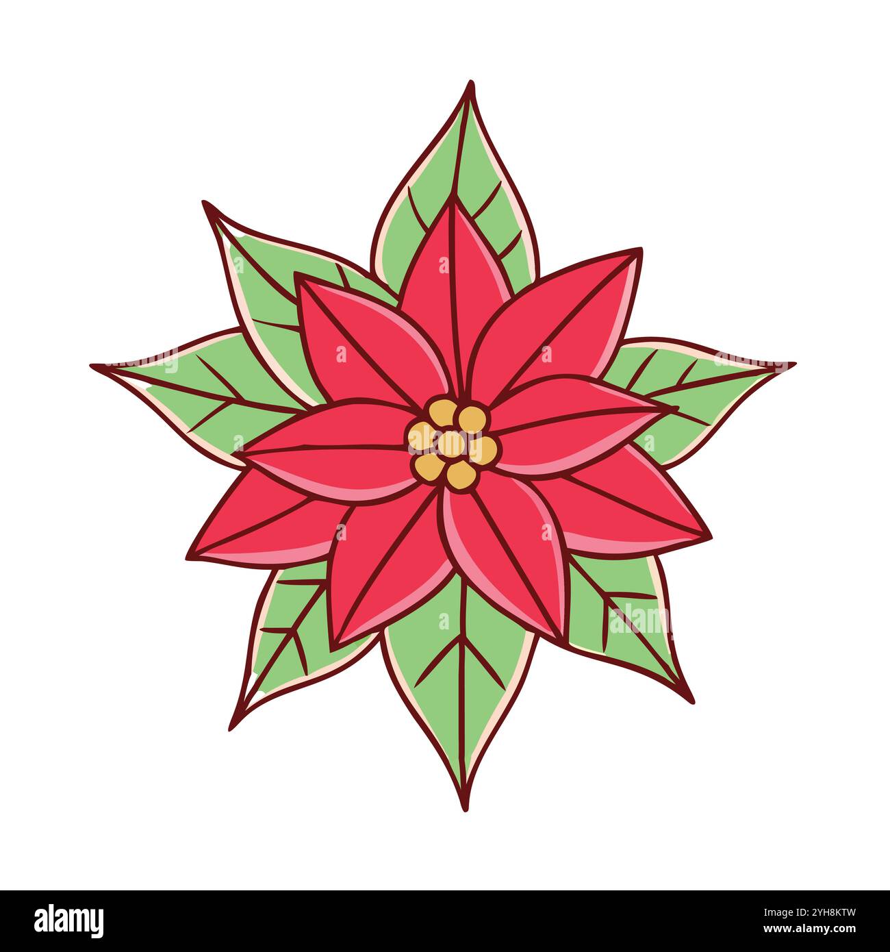 vector illustration of a poinsettia flower, for floral designs ...