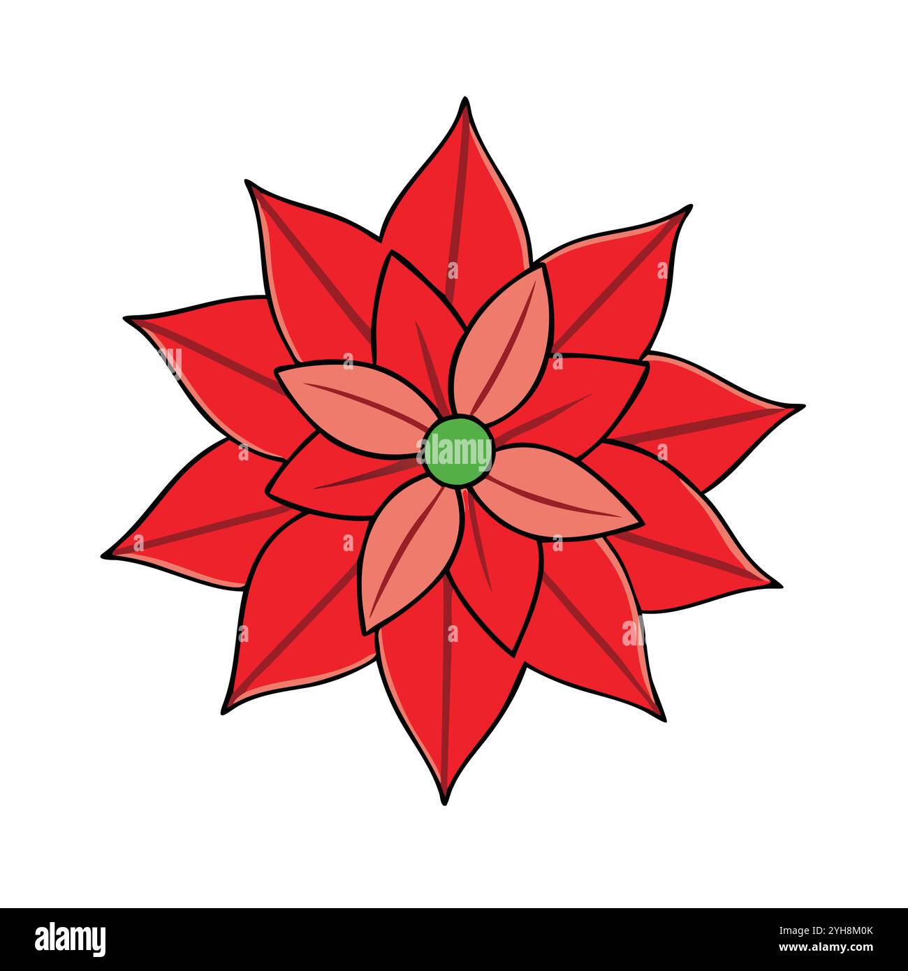 vector illustration of a poinsettia flower, for floral designs ...
