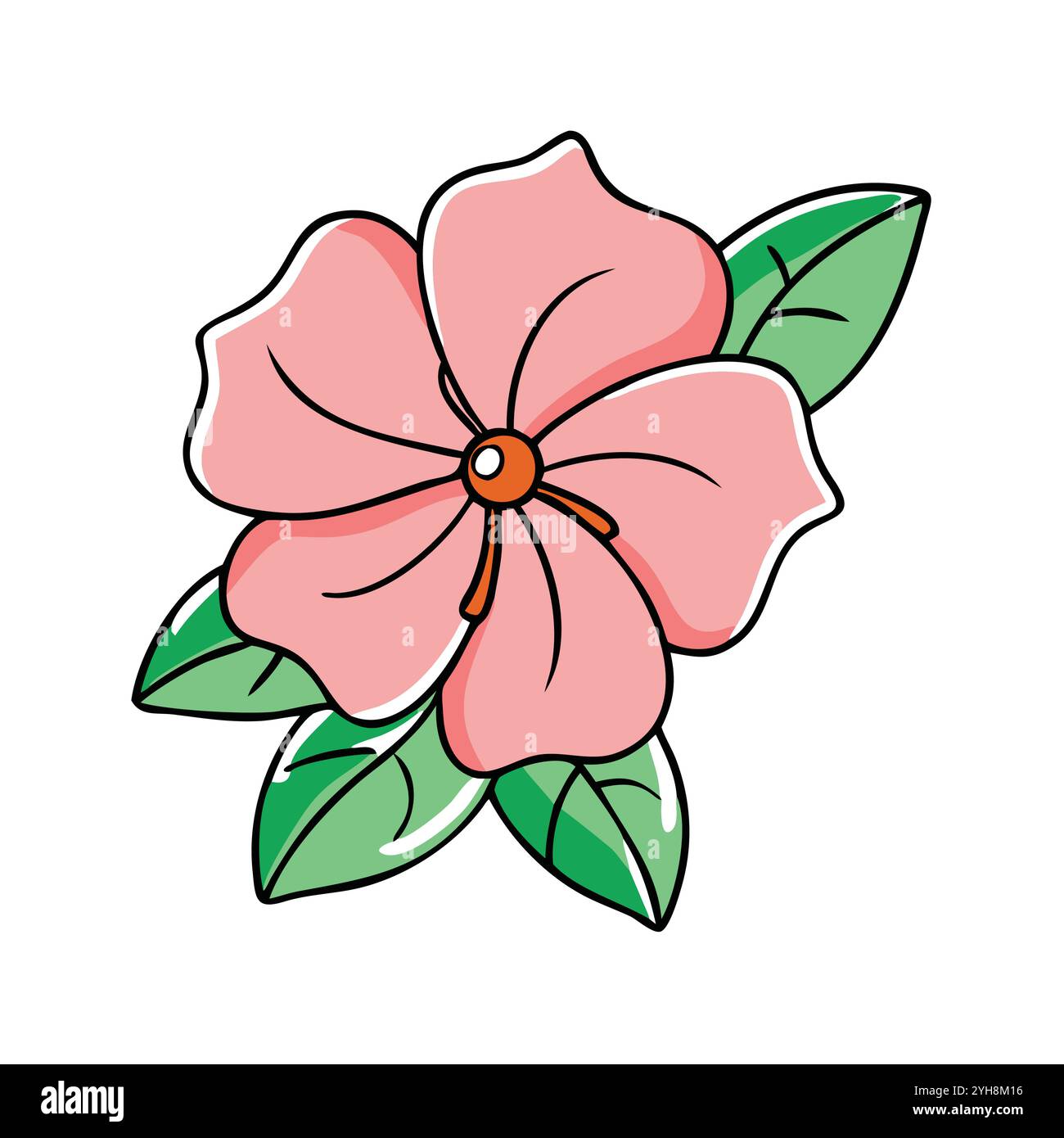 vector illustration of a impatiens flower, for floral designs ...