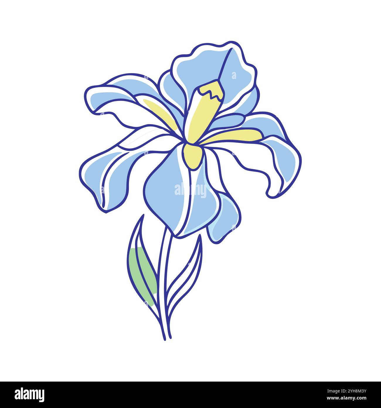 vector illustration of a iris flower, for floral designs, botanical ...