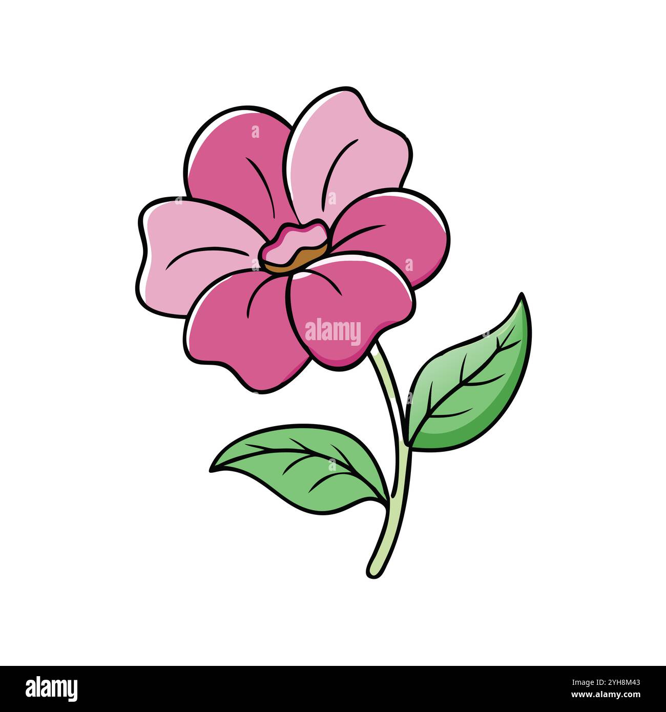 vector illustration of a impatiens flower, for floral designs ...