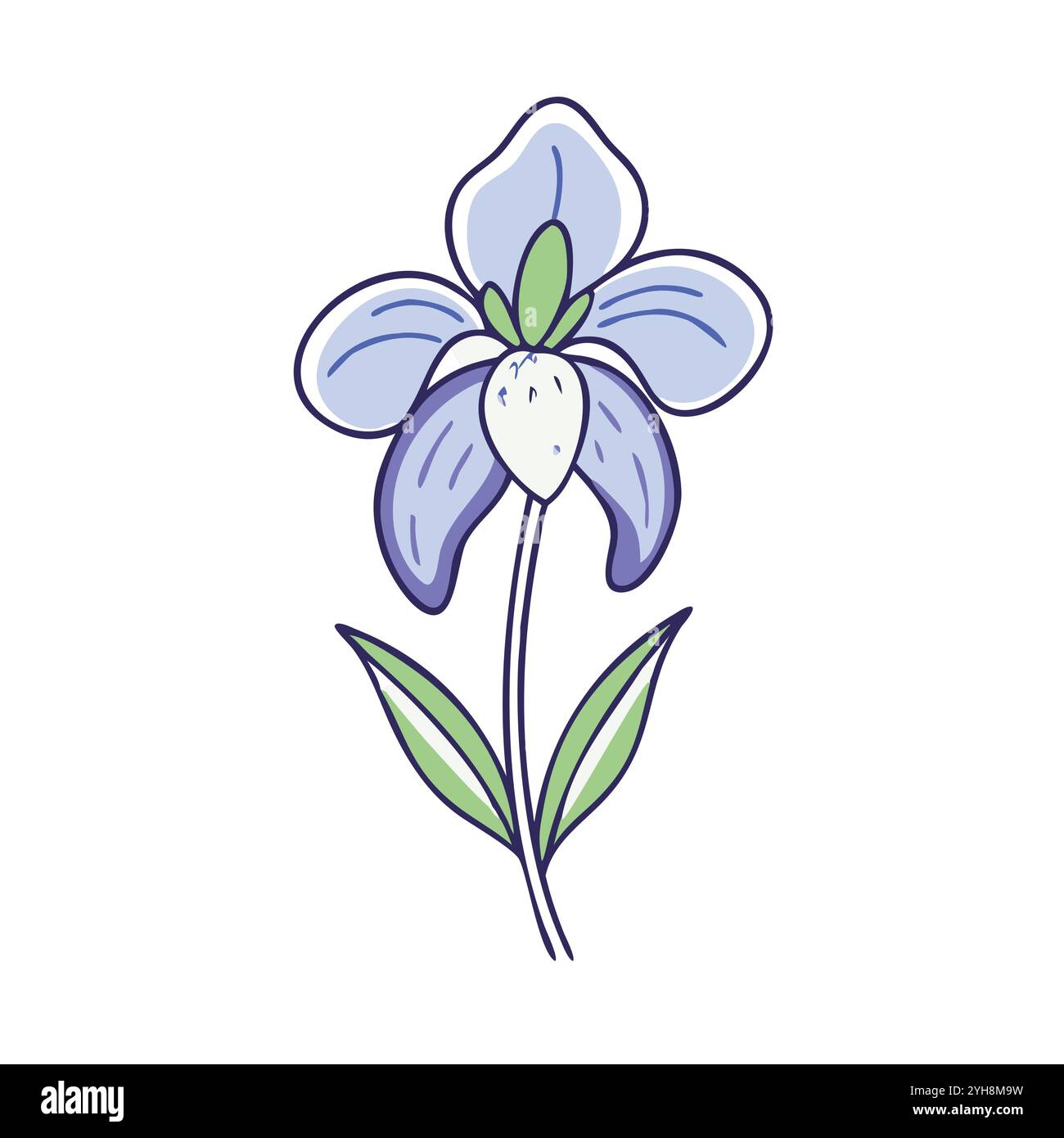 vector illustration of a iris flower, for floral designs, botanical ...