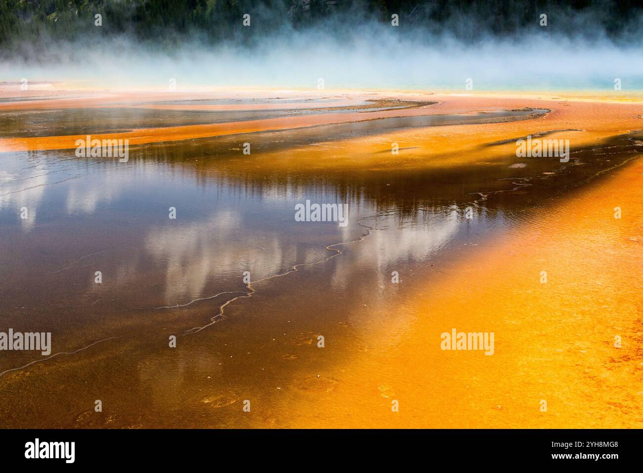 Thermophiles lining the runoff of Grand Prismatic Spring creating ...