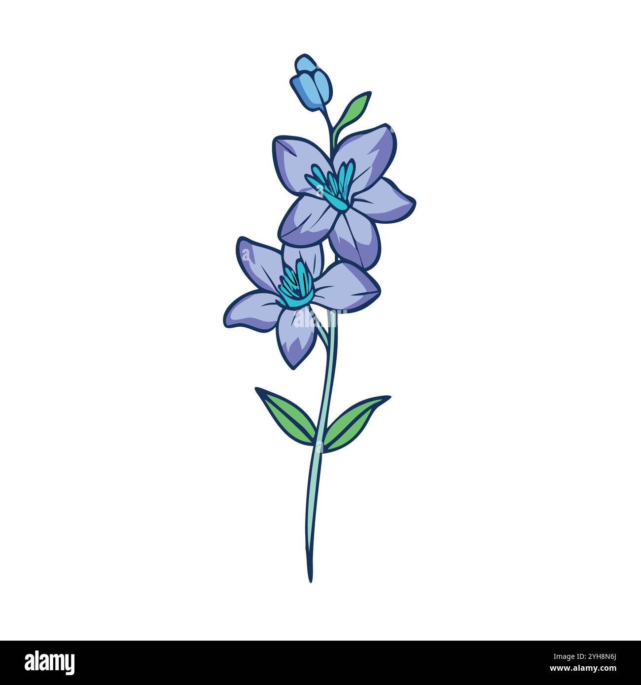 vector illustration of a larkspur flower, for floral designs, botanical ...