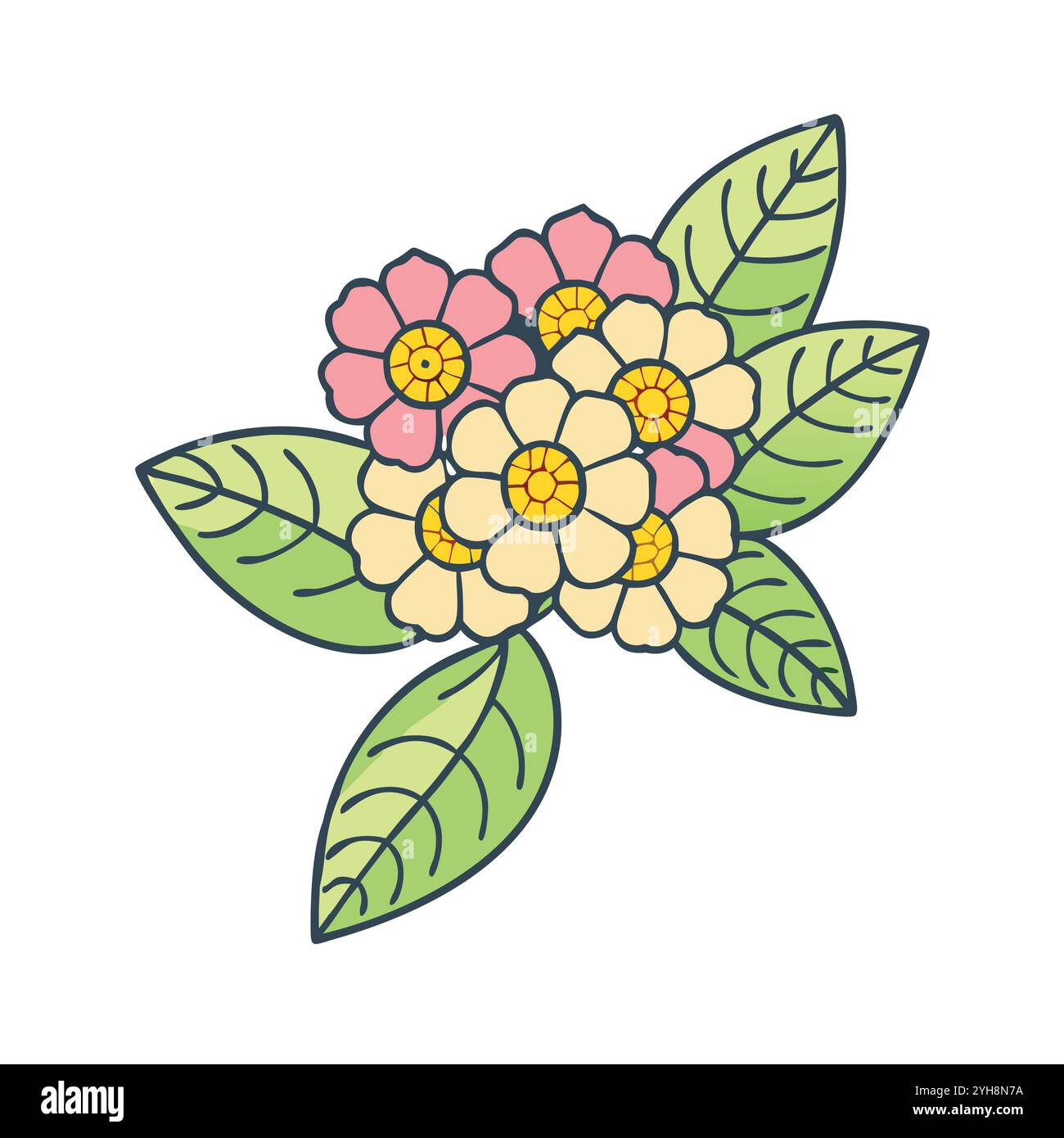 vector illustration of a lantana flower, for floral designs, botanical ...