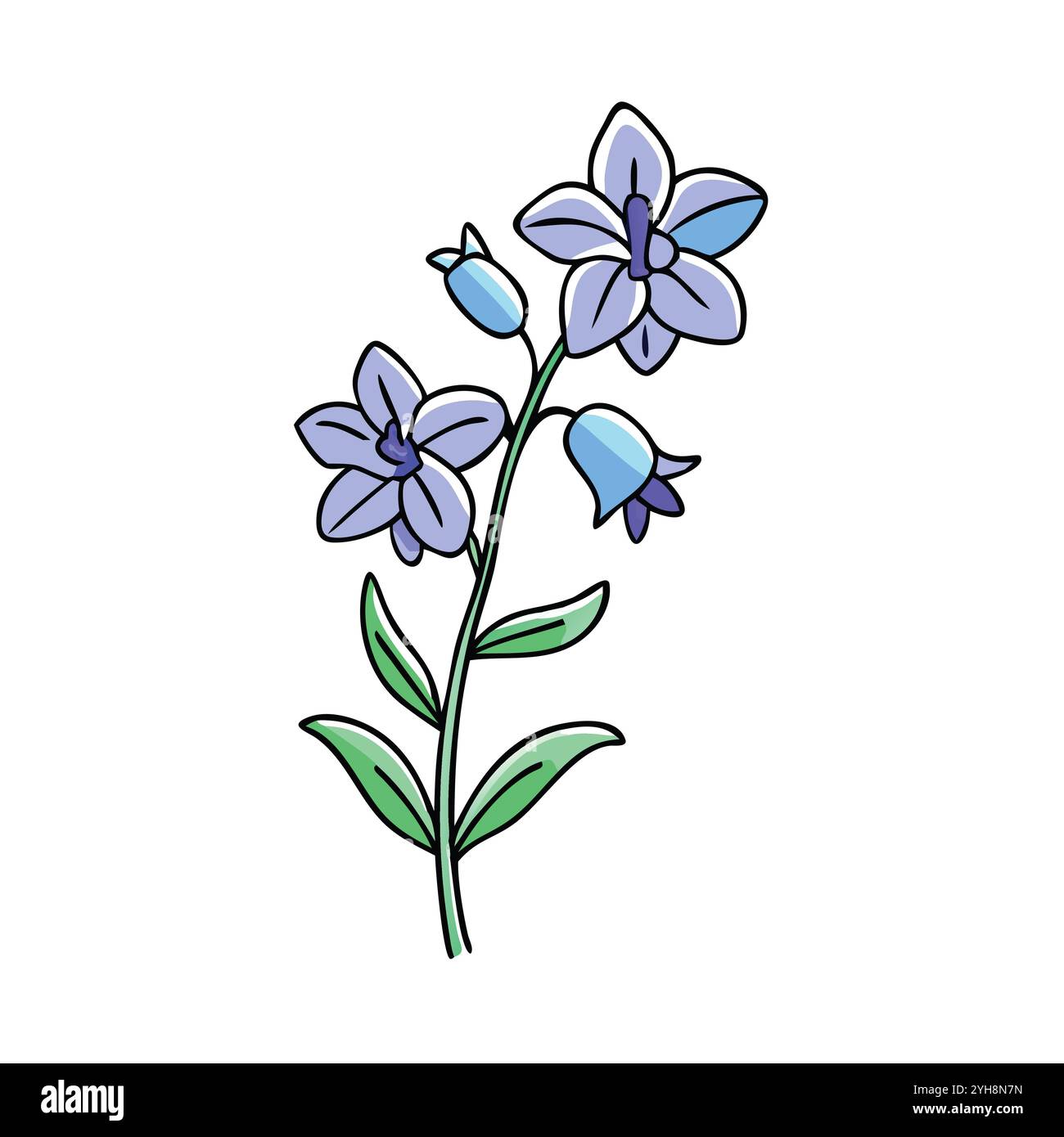 vector illustration of a larkspur flower, for floral designs, botanical ...