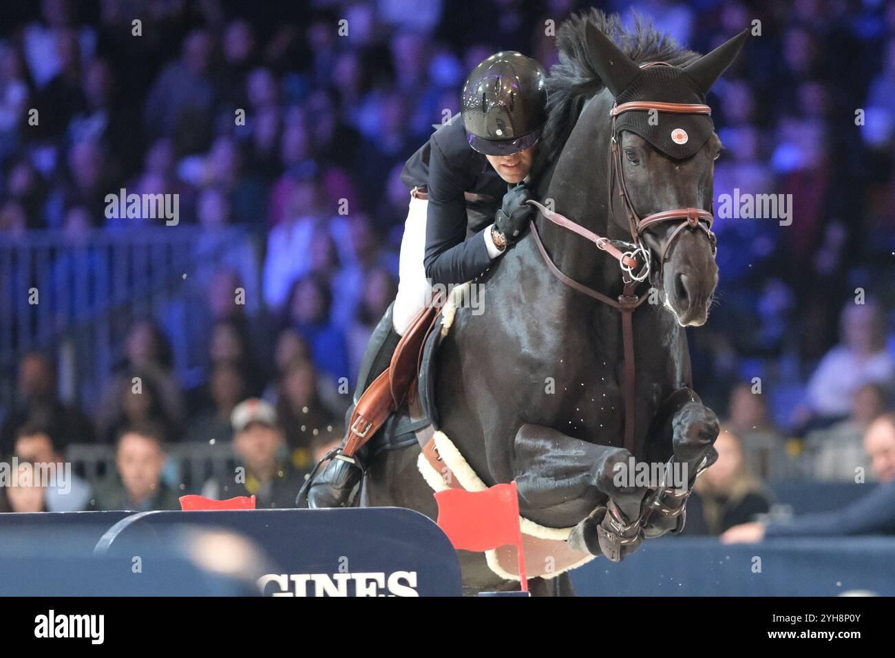 Simon Delestre riding Dexter Fontenis Z in action during CSI5*- W ...