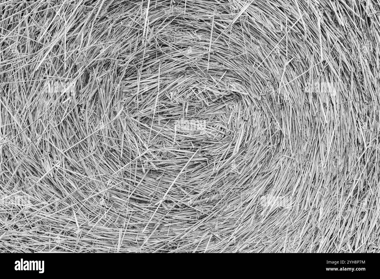 Hay texture. Hay bale is stacked in large stack. rural autumn with hay ...