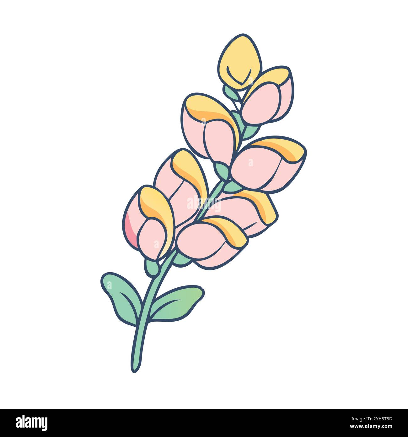 vector illustration of a snapdragon flower, for floral designs ...