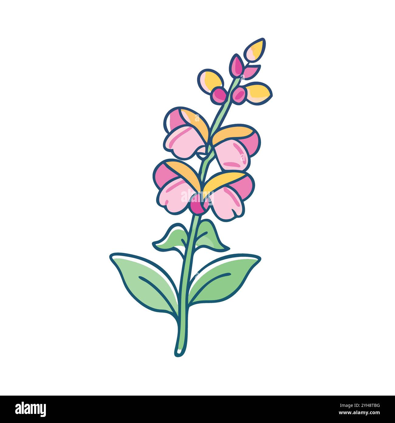 vector illustration of a snapdragon flower, for floral designs ...