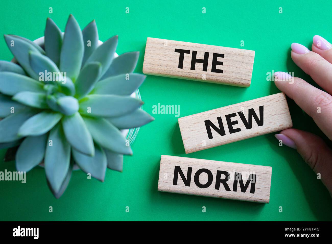 The new norm symbol. Concept words The new norm on wooden blocks ...