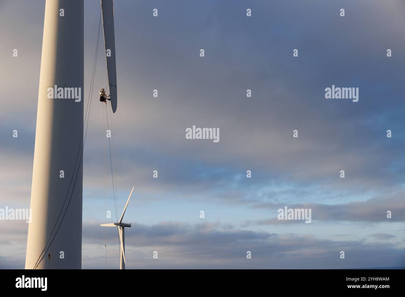 Ai proof profession hi-res stock photography and images - Alamy