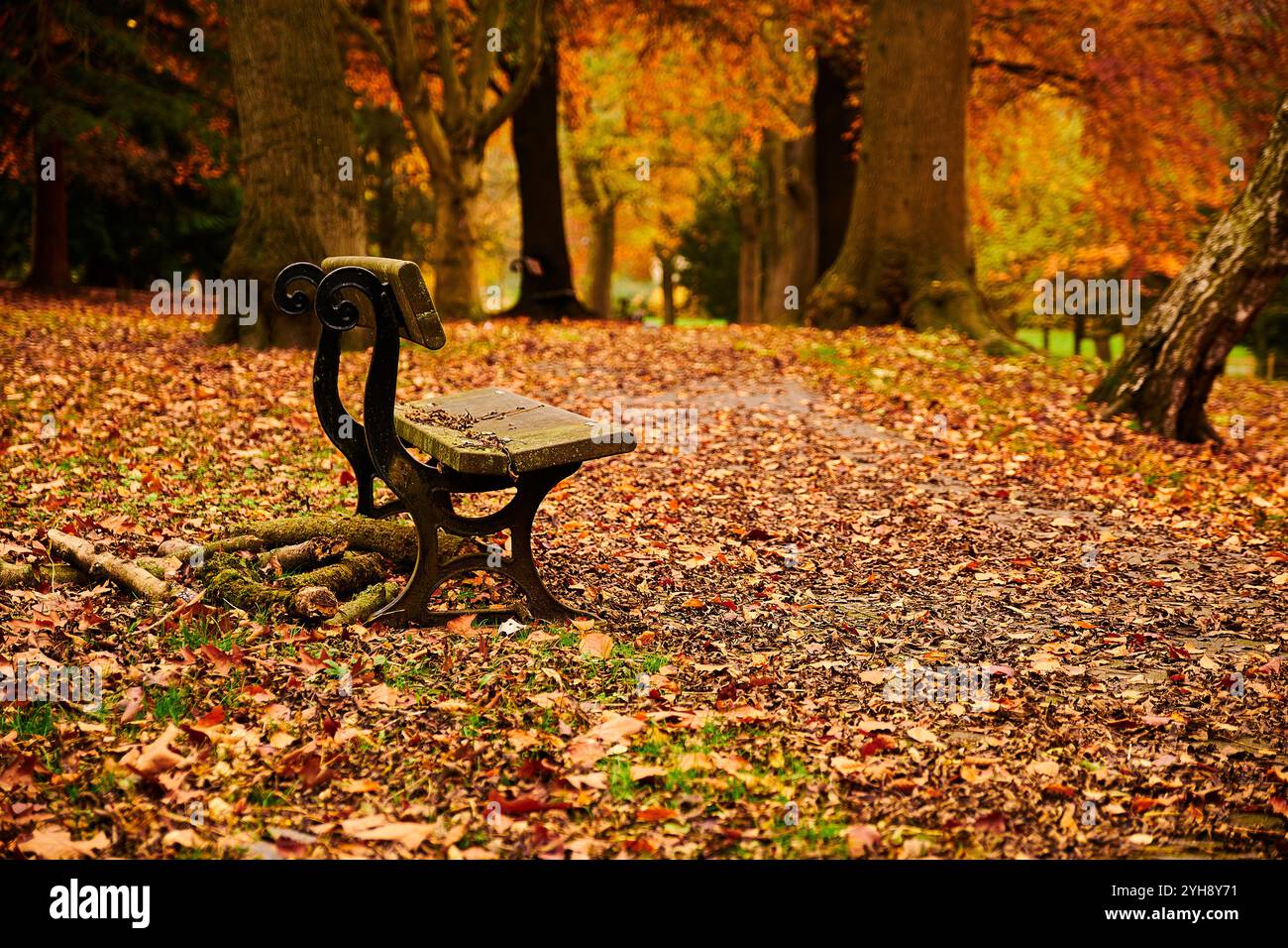 Autumn park bench Stock Photo - Alamy