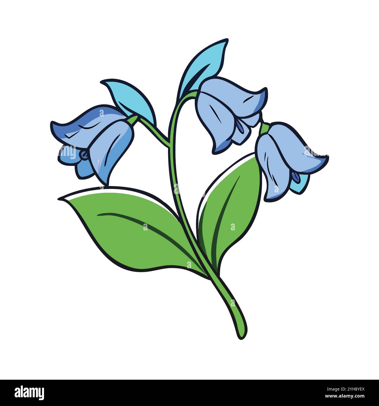 vector illustration of a virginia bluebells flower, for floral designs ...