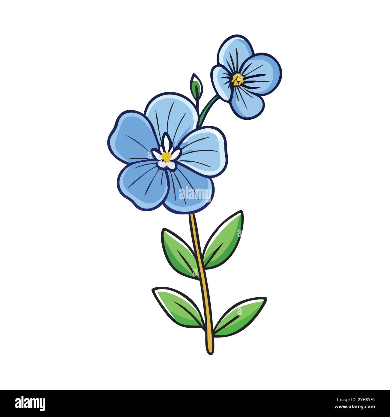 vector illustration of a veronica speedwell flower, for floral designs ...