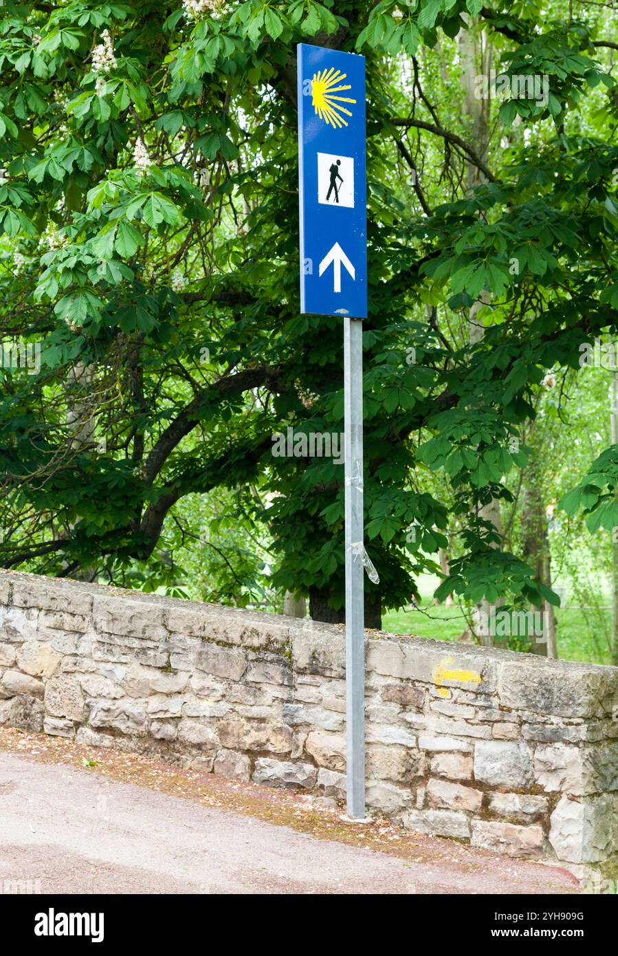 A directional sign guides pilgrims along the Camino de Santiago ...