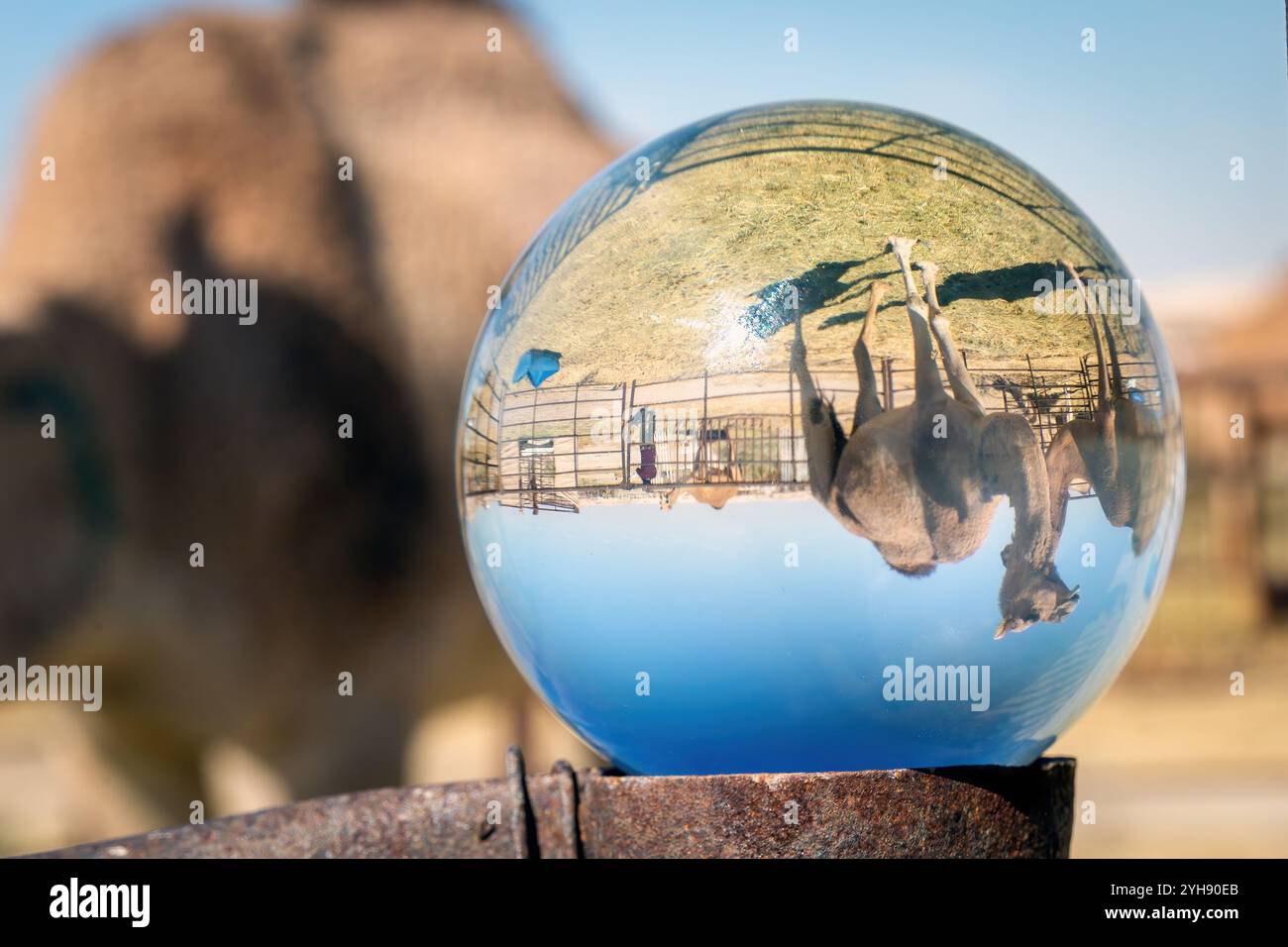 Traditional desert life hi-res stock photography and images - Alamy