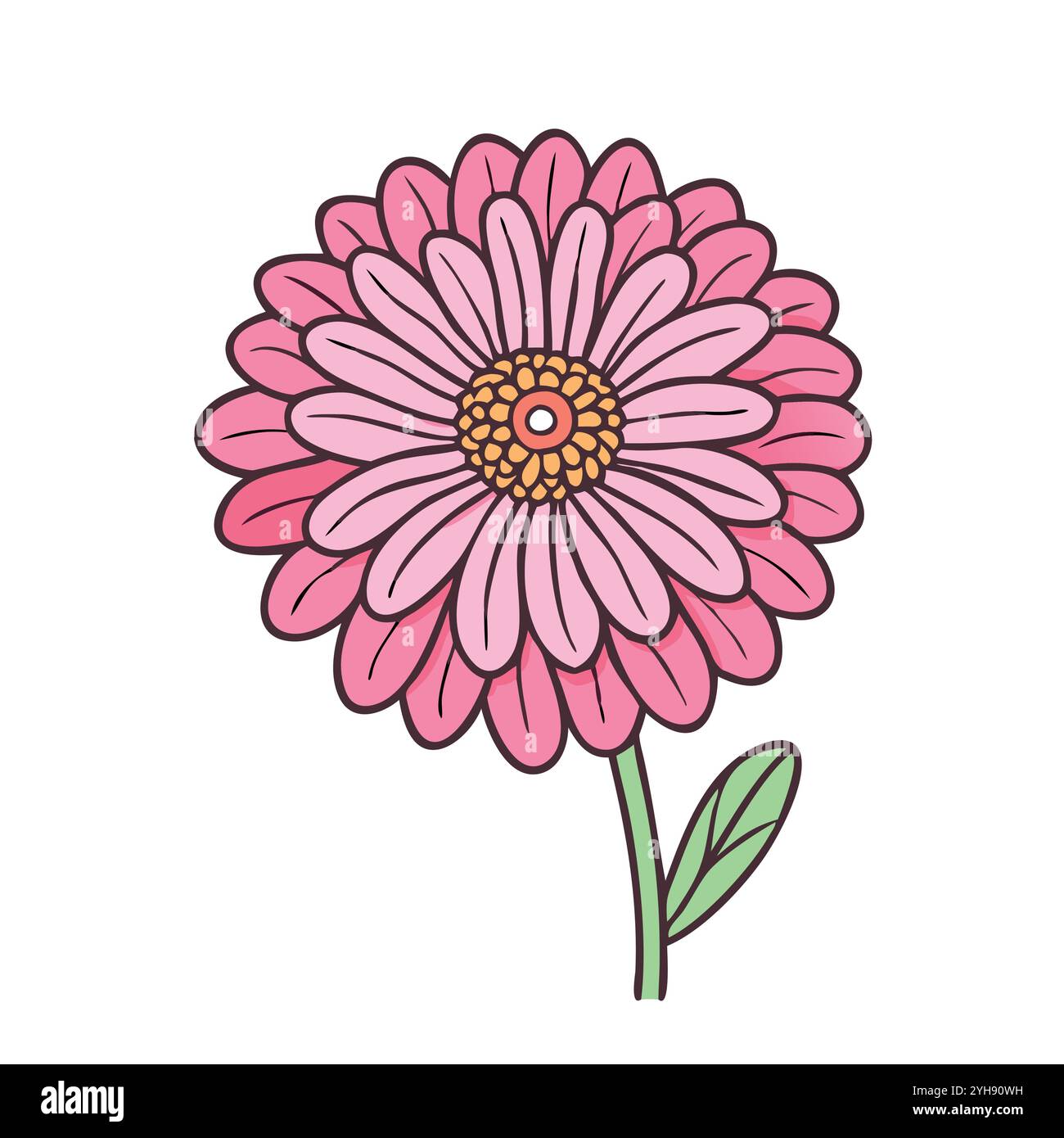 vector illustration of a zinnia flower , for floral designs, botanical ...