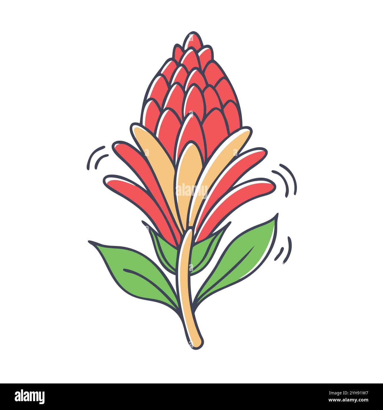 vector illustration of a red hot poker flower, for floral designs ...