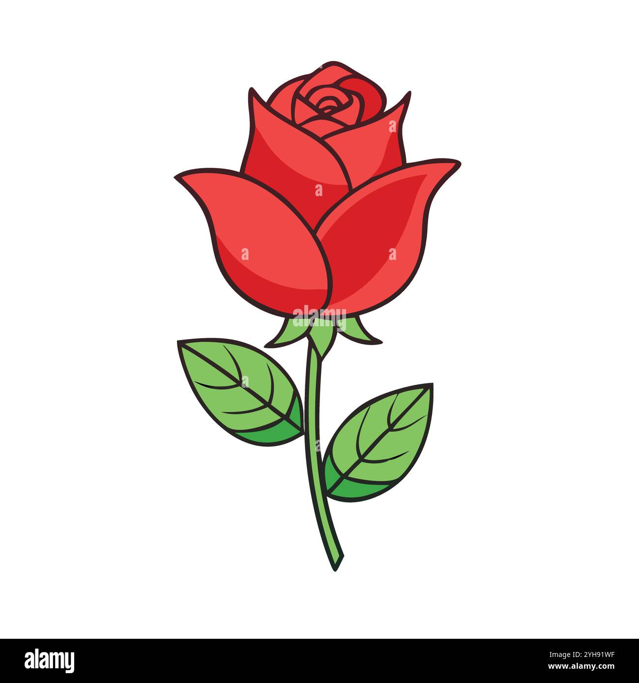 vector illustration of a red rose flower, for floral designs, botanical ...