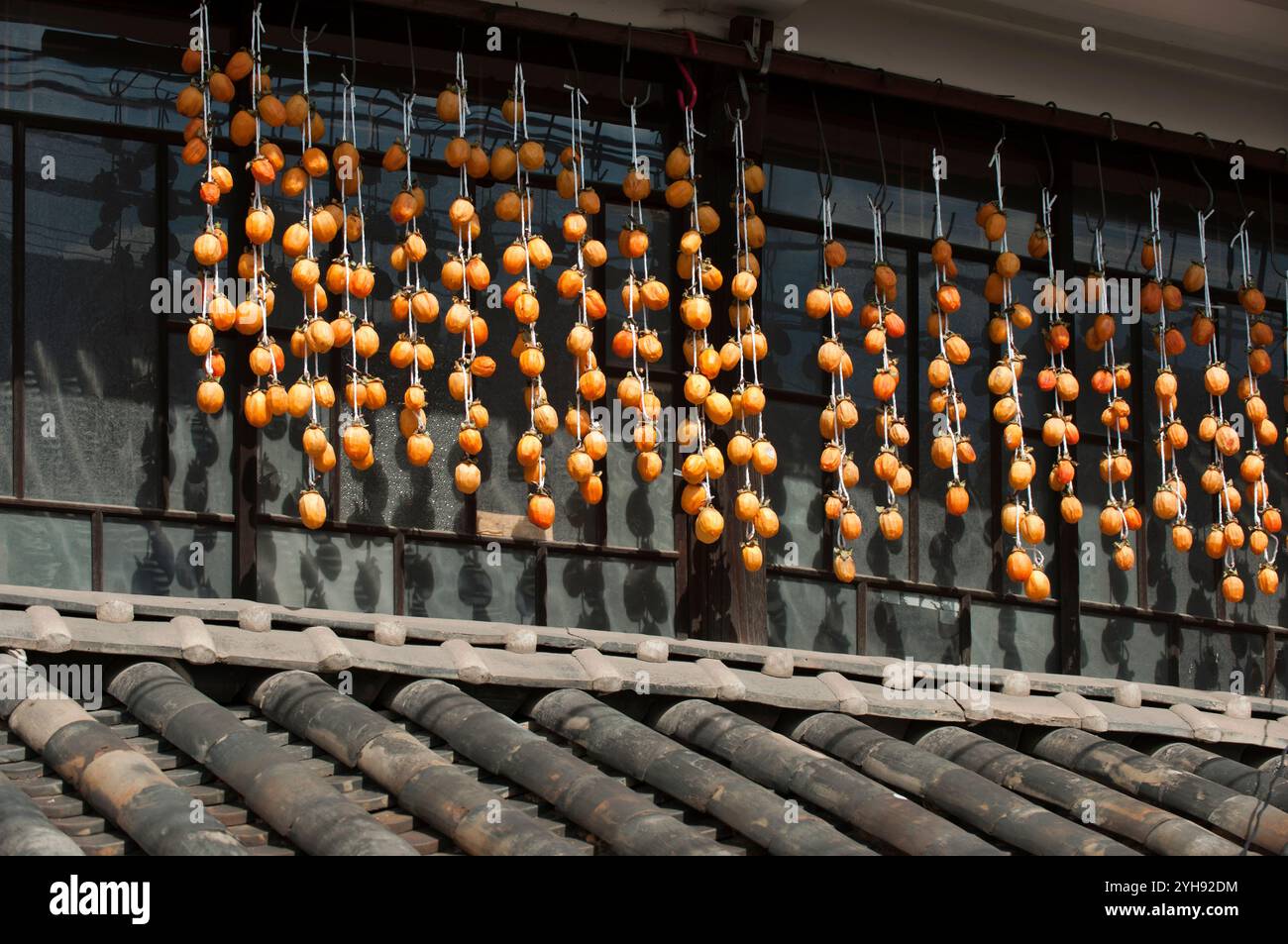 Hoshigaki dried persimmons hanging hi-res stock photography and images ...