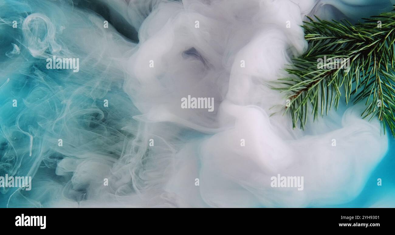 Fir branch haze. Smoke cloud. Green tree plant in pink blue color ink ...