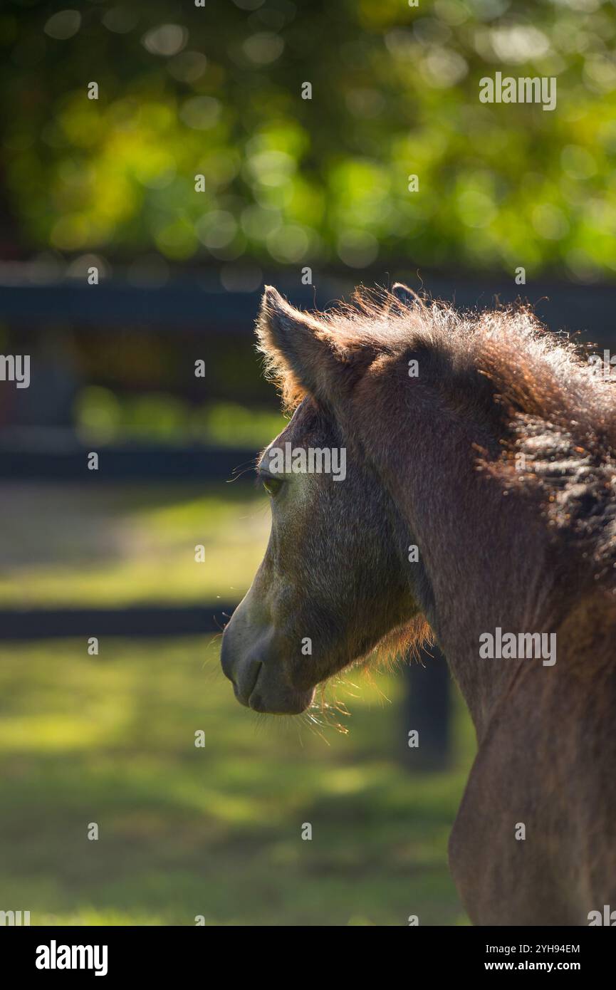 Masthead photo hi-res stock photography and images - Alamy