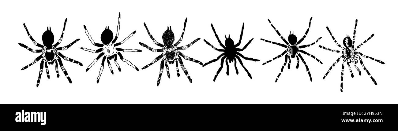 Spider icons set. Flat, icons of different types of spiders, set of ...