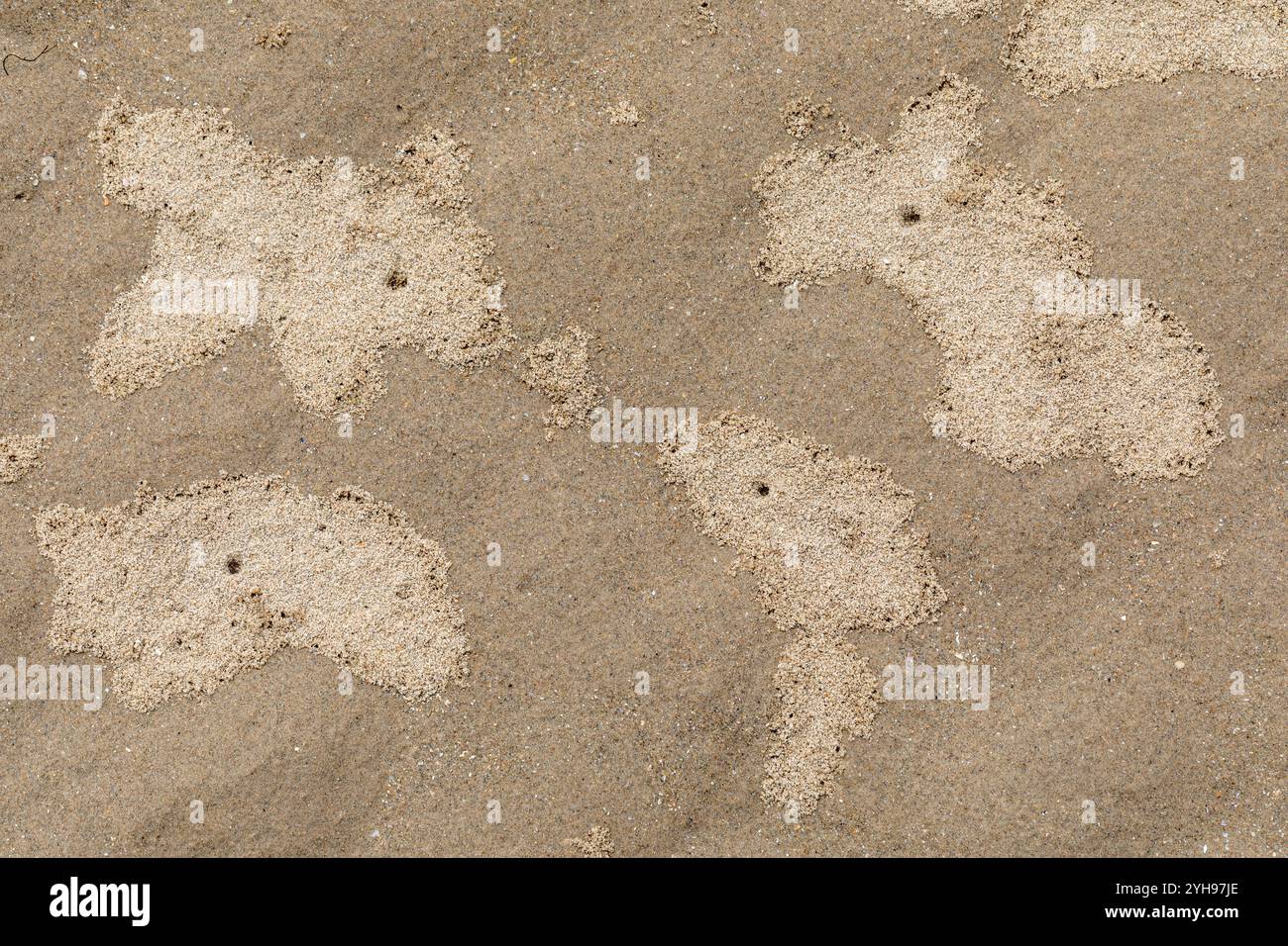 Hopper holes hi-res stock photography and images - Alamy