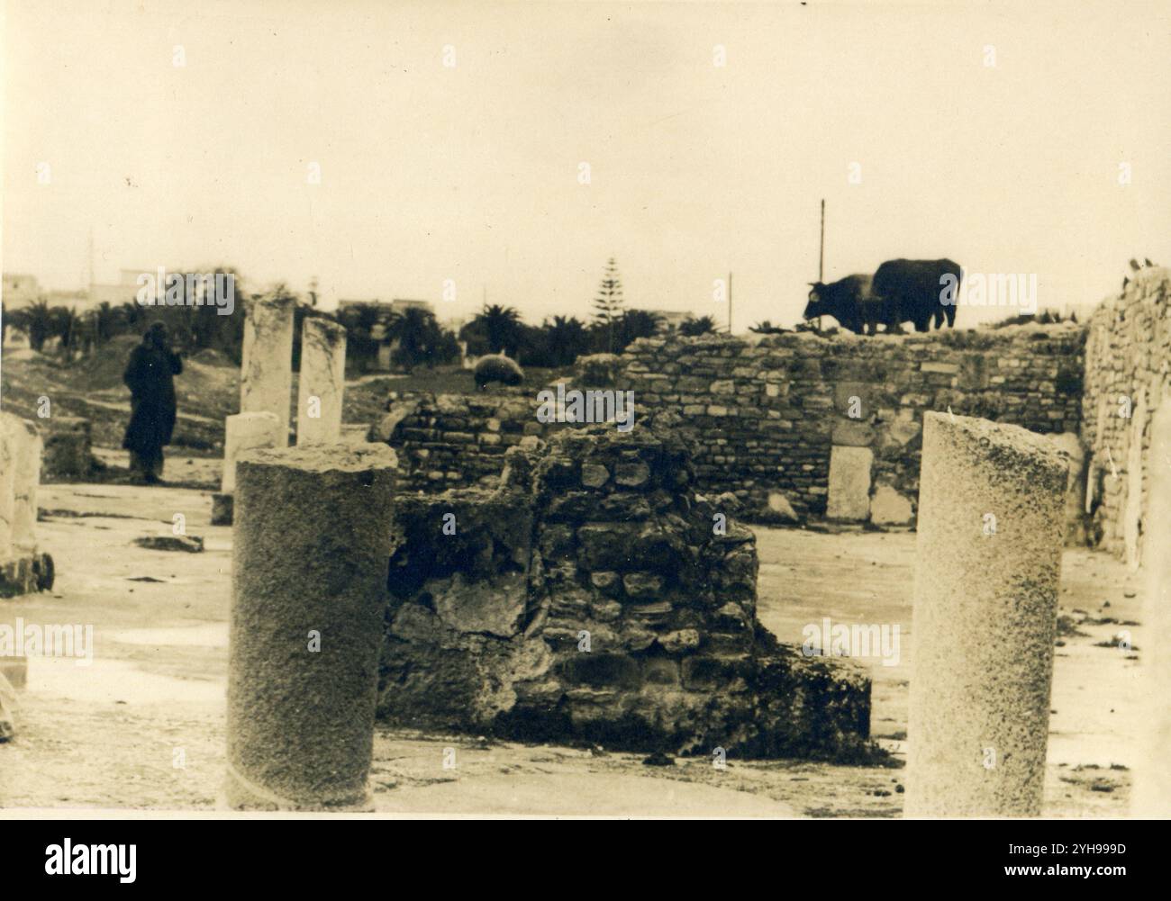 WW2 period antique city of Cirene, Libya Stock Photo - Alamy