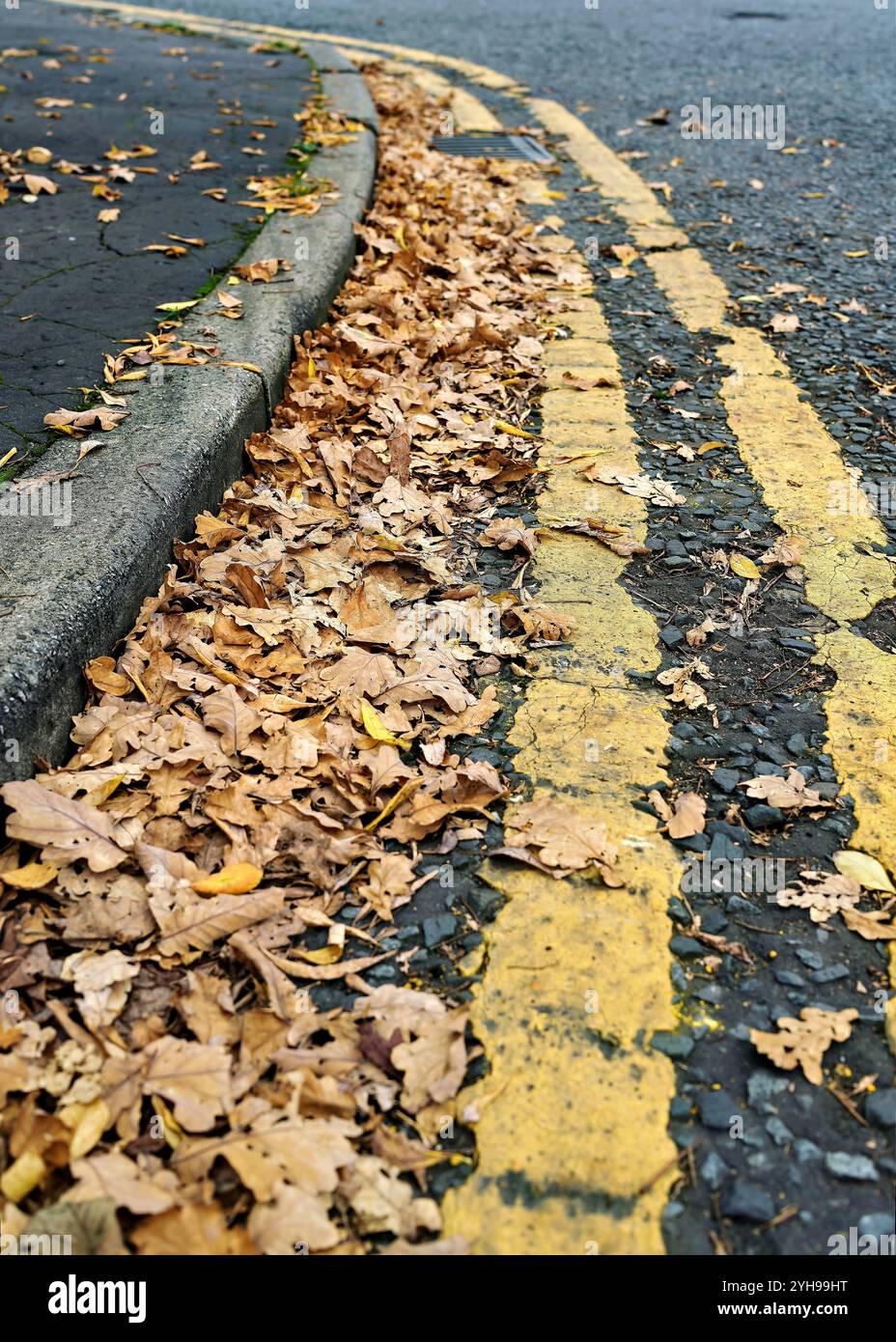 Dry autumn leaves line a curb beside a yellow double road marking Stock ...