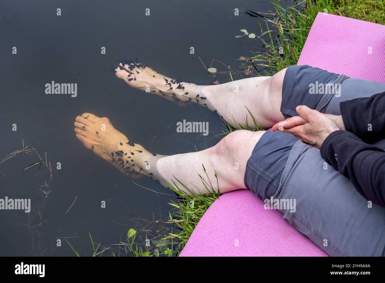 Tadpoles hi-res stock photography and images - Alamy