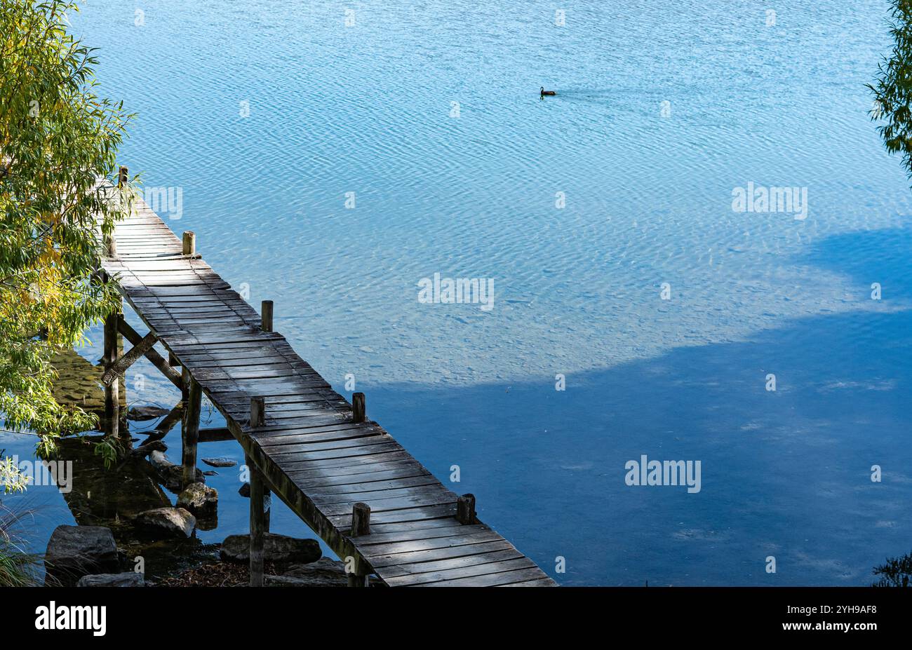 Wooden jetty bridge in the water calm clear lake Hayes New Zealand ...