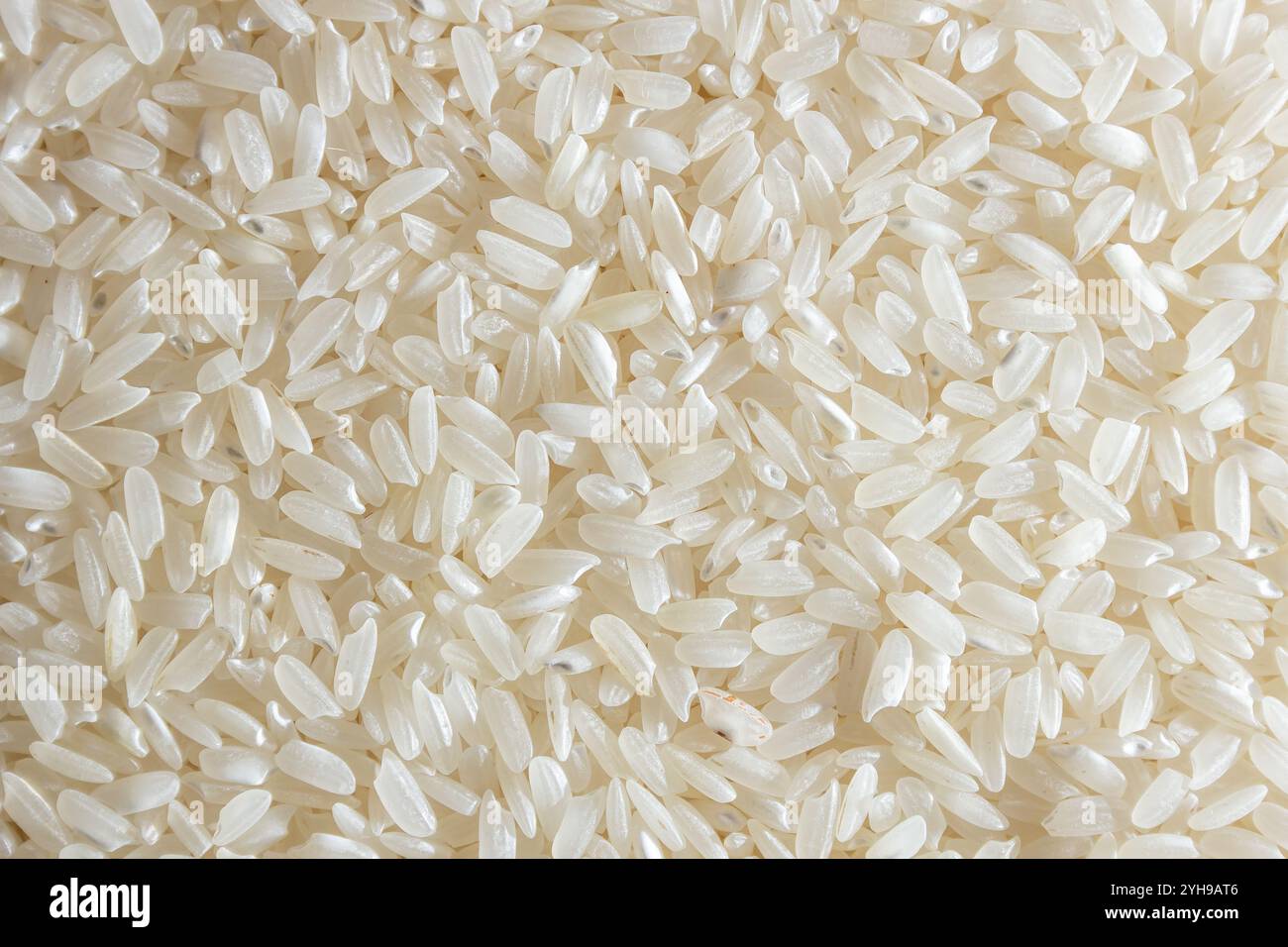 Dry Uncooked White Rice Background - Top View, Flat Lay. Scattered Raw ...