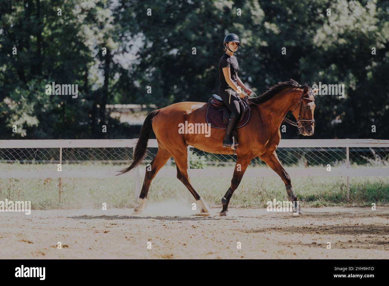 Woman riding a horse during equestrian training in sunny arena Stock ...