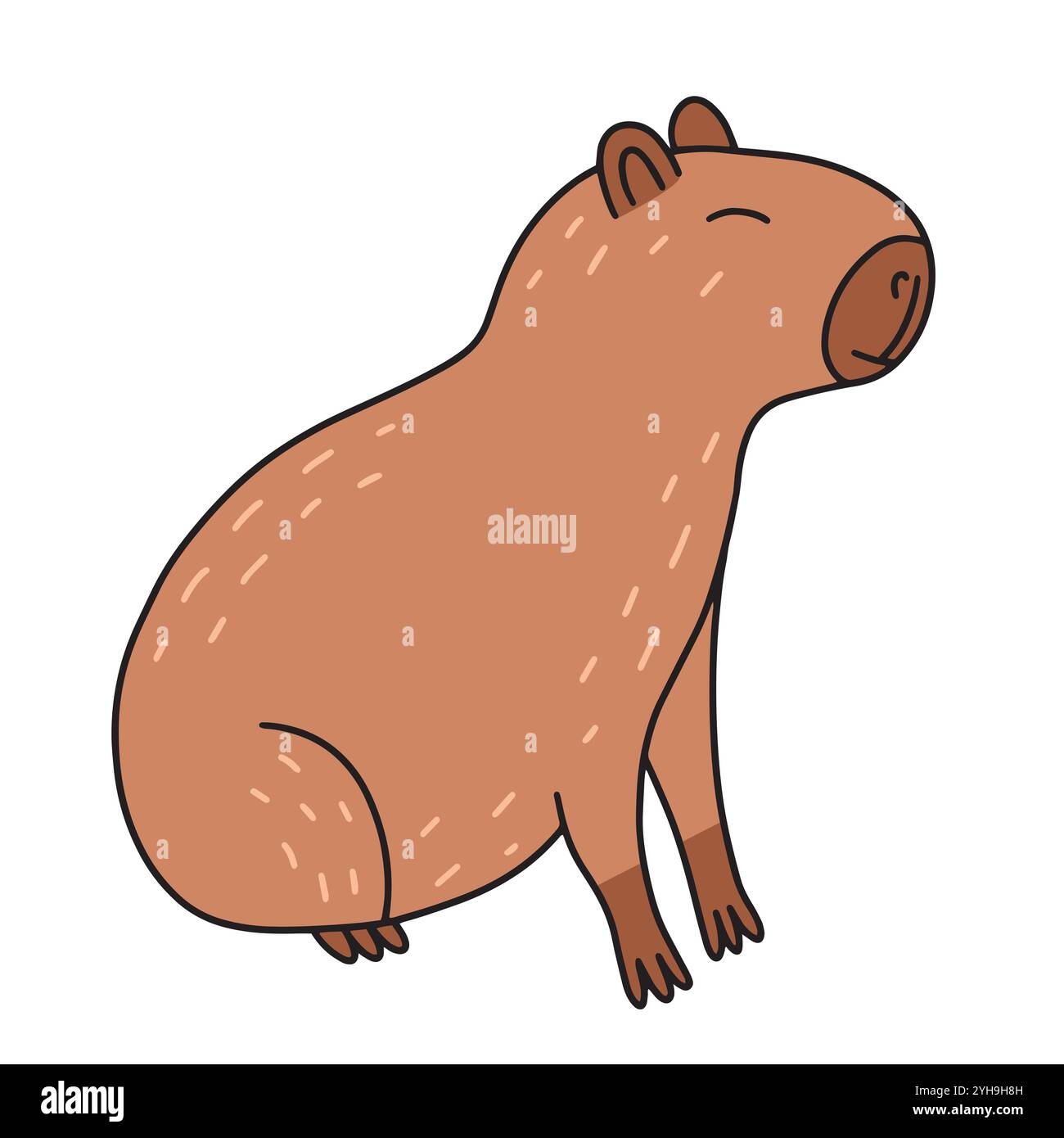 Capybara sitting vector flat illustration Stock Vector Image & Art - Alamy