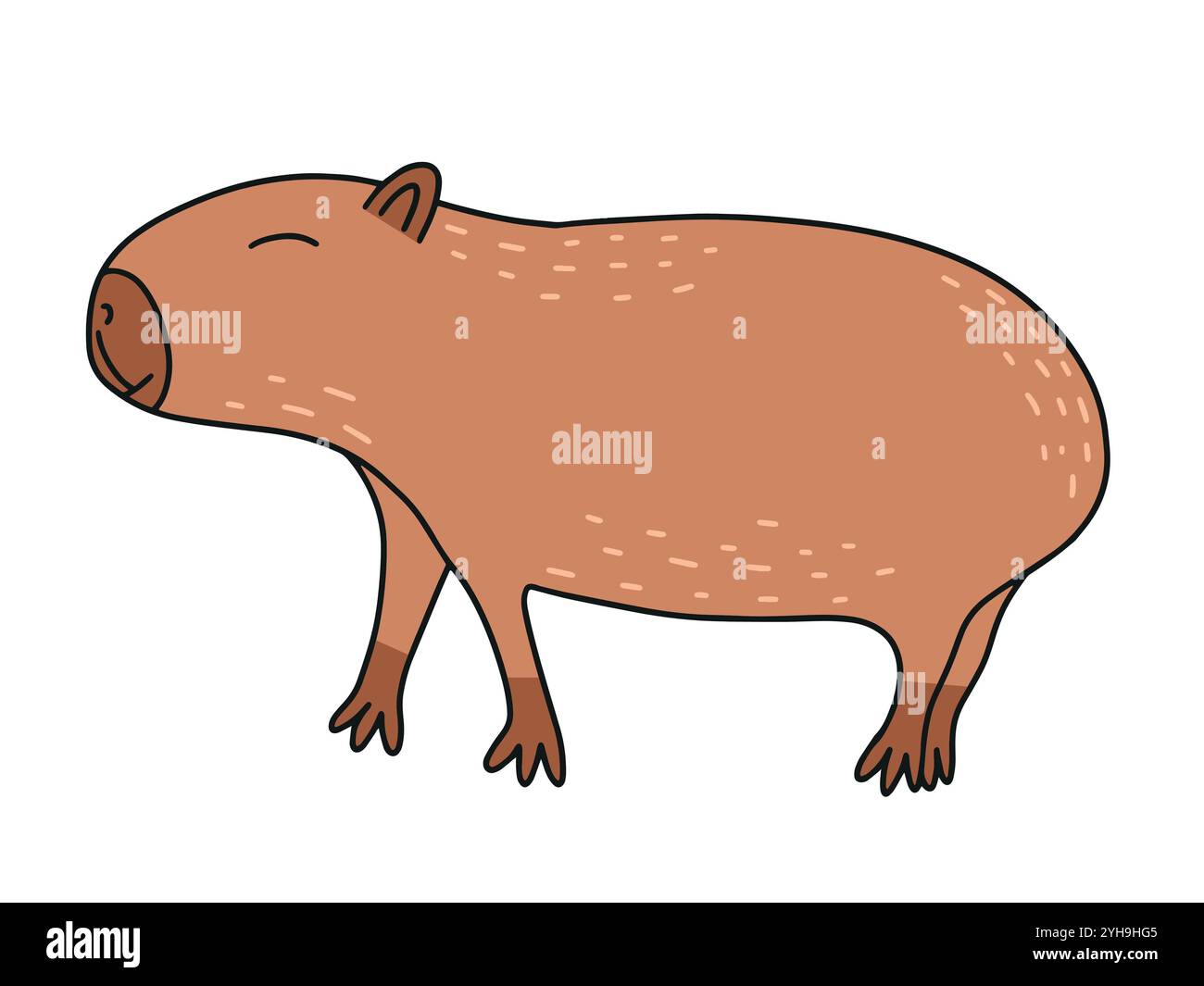 Capybara animal flat vector illustration Stock Vector Image & Art - Alamy