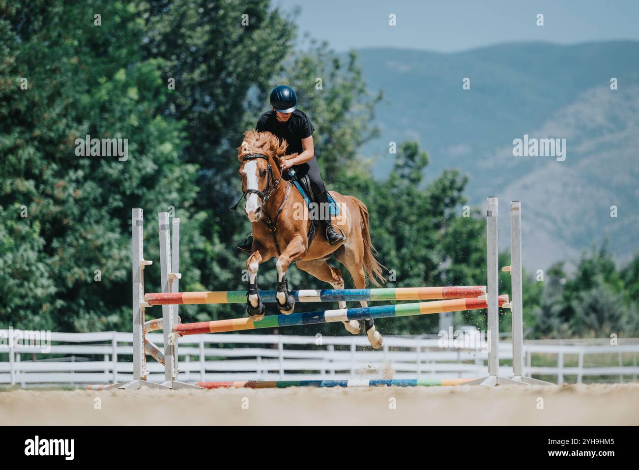 Equestrian riding horse over colorful hurdle in outdoor competition ...