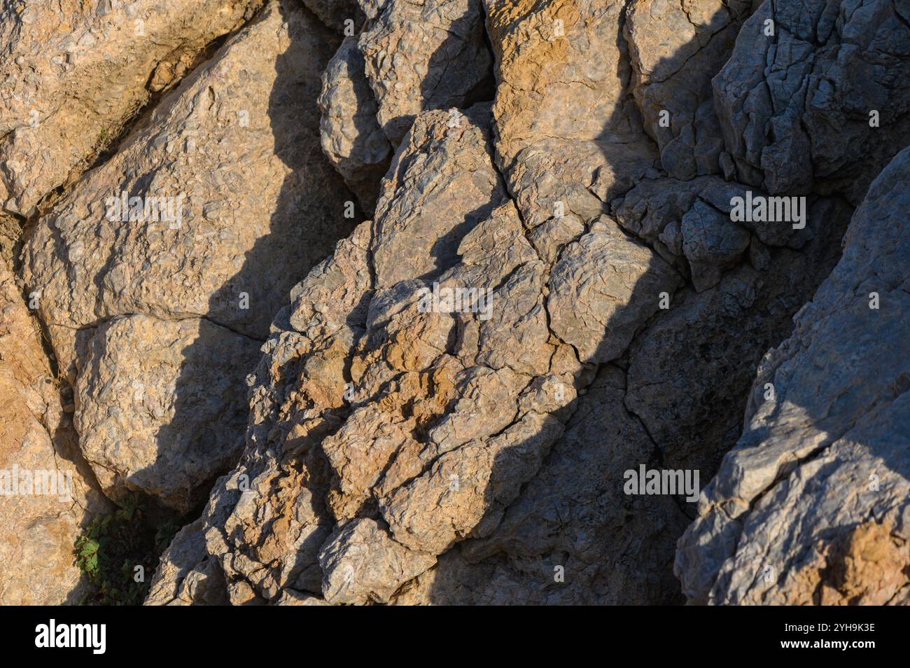 Sunlight casts beautiful shadows on textured coastal rocks, revealing ...
