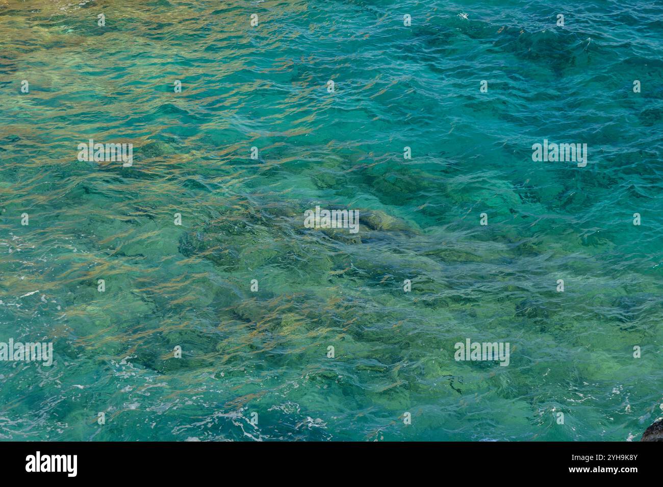 Sunlight dances on the turquoise water, showcasing the lively ...