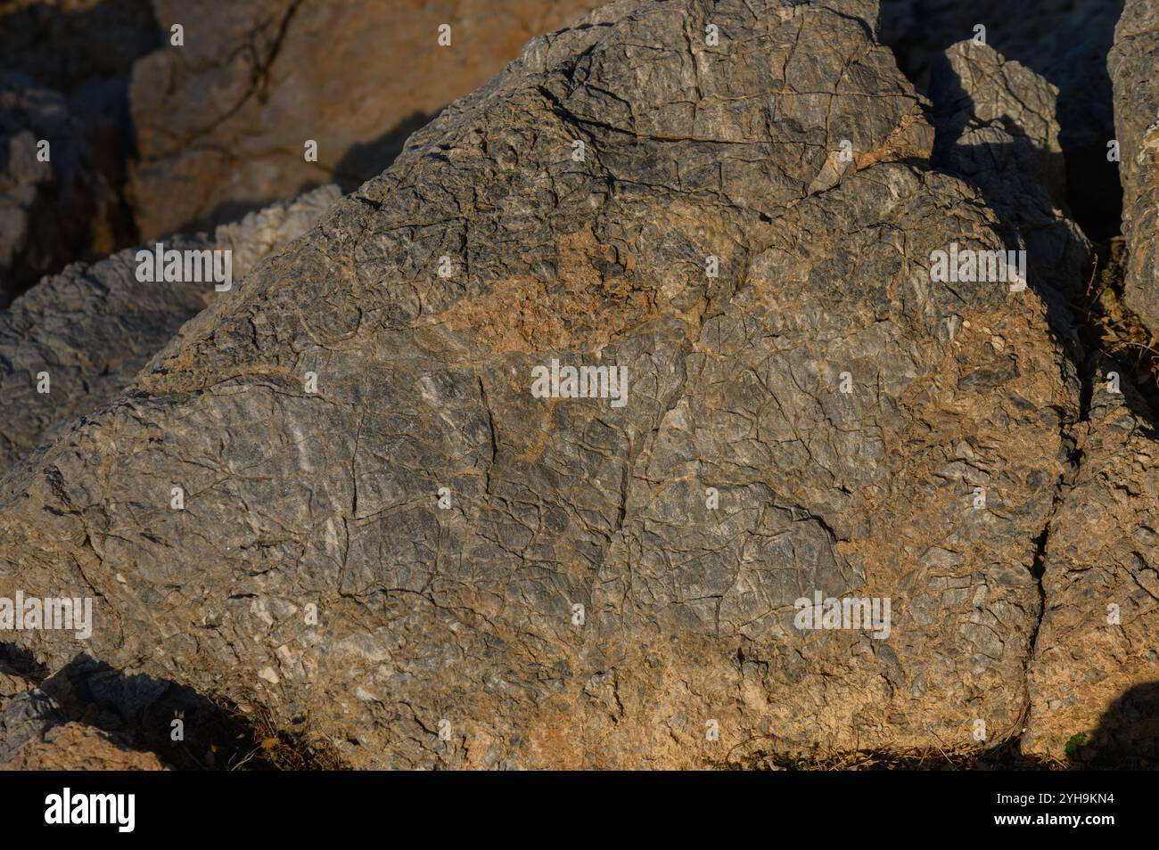 Intricate symbols carved into weathered rocks reveal ancient artistry ...