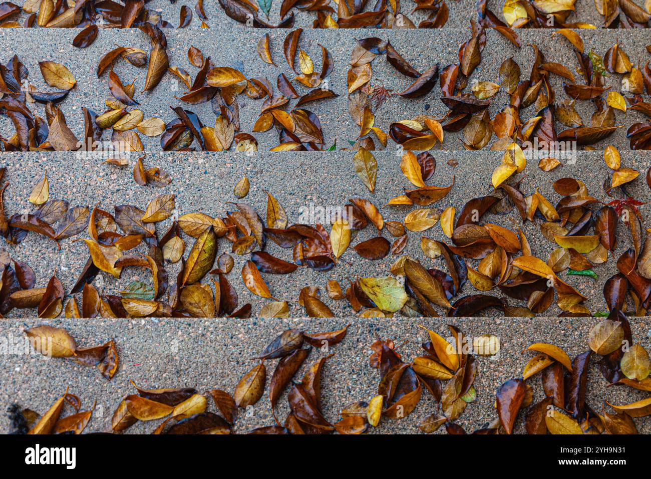 Abstract geometric autumn tree leaves hi-res stock photography and ...