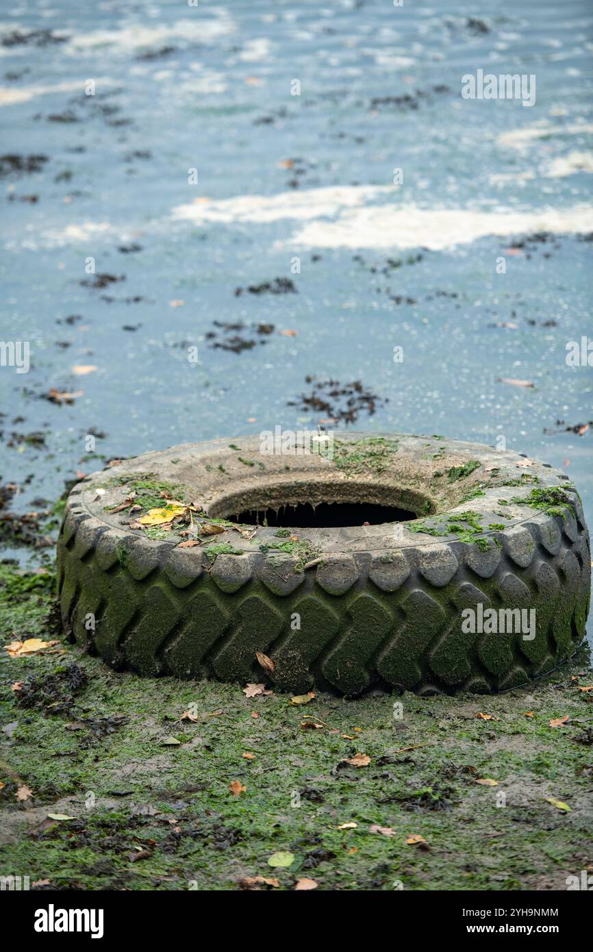 old tyre stranded on a beach at low tide, tractor or lorry tyre discarded and washed up on a ...